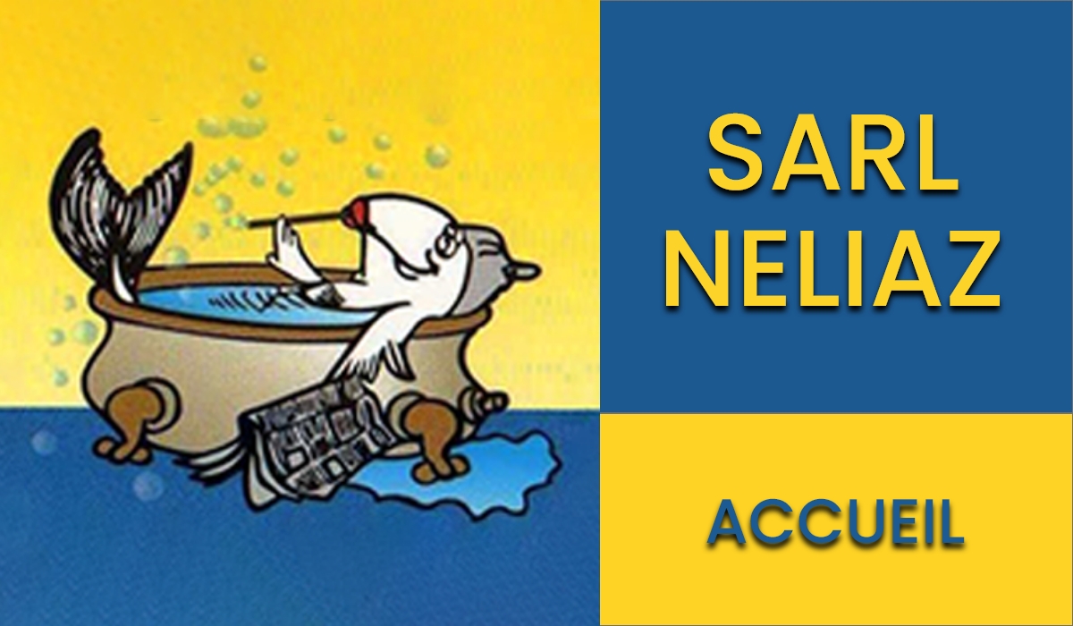 SARL NELIAZ - Plombier chauffagiste à Moëlan-sur-Mer